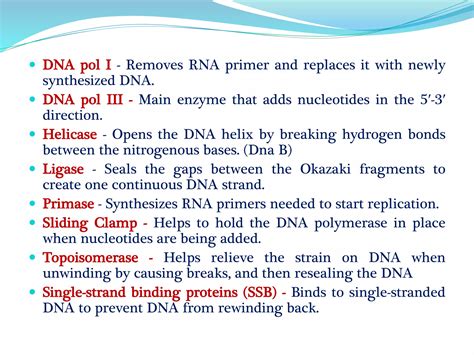 Replication In Prokaryotes Pptx