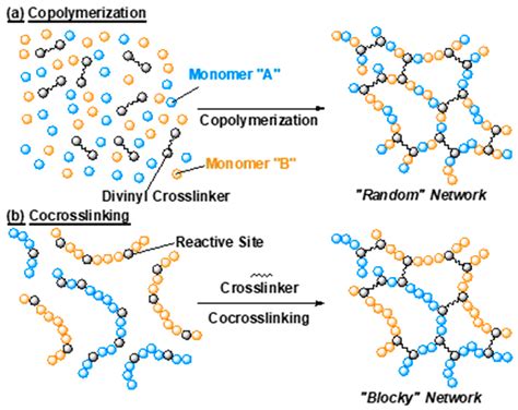Effect Of Monomer Sequence Along Network Chains On Thermoresponsive