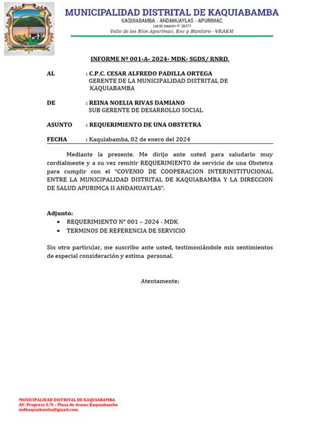 Modelo De Informe Pdf