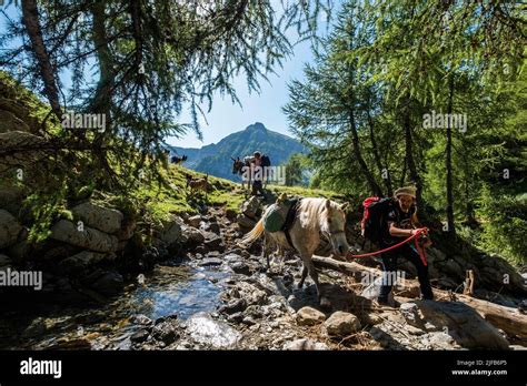 France Hautes Alpes Champsaur Valley Of Champoléon Village Of The