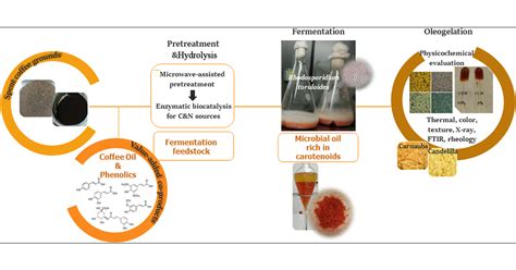 Sustainable Production Of Novel Oleogels Valorizing Microbial Oil Rich