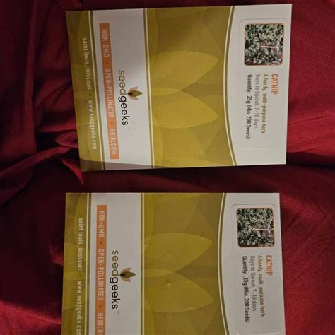 Catnip Herb Heirloom Seeds Etsy