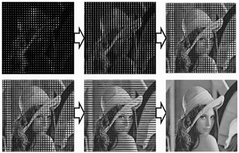 Elastic Downsampling An Adaptive Downsampling Technique To Preserve