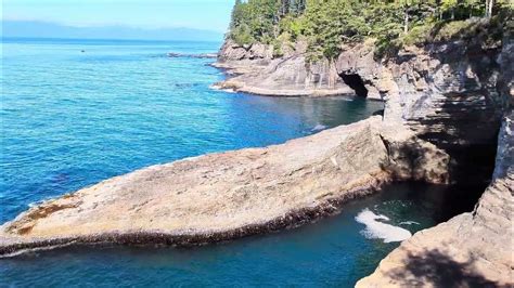 Amazing Whale Breach At Cape Flattery Pacific Northwest Wildlife