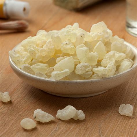 What Is Mastic Gum A Complete Guide To Its Health Benefits