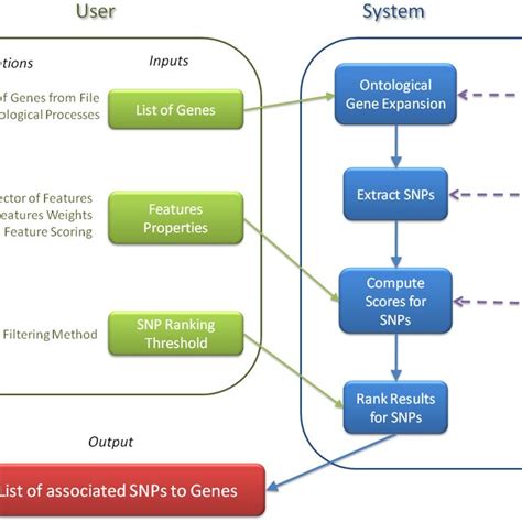 General Schema Of The System Download Scientific Diagram