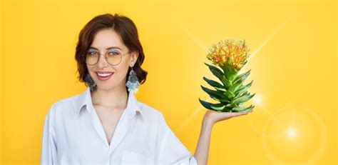 What Are Rhodiola Sexual Benefits Libido Ed And Sex Dysfunction Vinatura Supplements