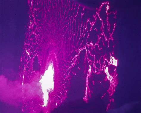 Thunder Cat Photograph By Takesaburo Oshiro Fine Art America