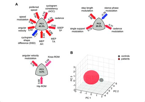 Multivariate Analysis Of Gait Related Parameters Principal Components