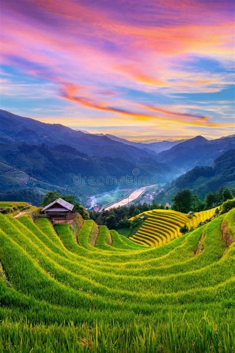 Beautiful Rice Terraces At Sunset In Mu Cang Chai Vietnam Stock Image