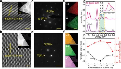 Tem And Doping Concentration Characterizations Of Ni‐doped Coo Download Scientific Diagram