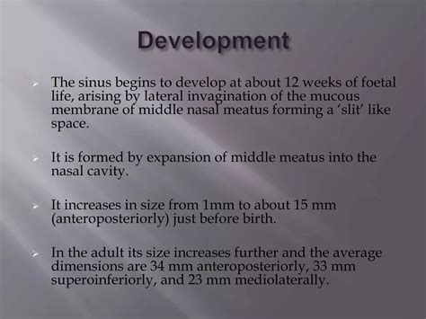 Maxillary Sinus Pptx