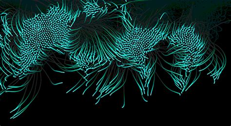 Computational Design Behance