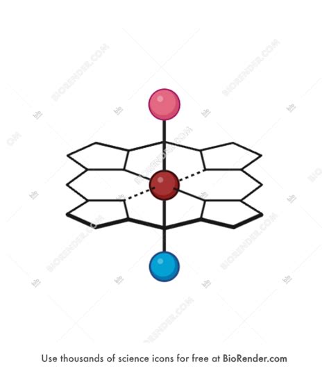 Free Heme Structure With Ions Icons Symbols And Images Biorender