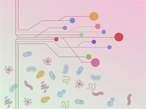 16s Rrna Gene Sequencing And Importance Genetic Education