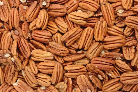 New Mexico Pecan Harvest West Coast Nut