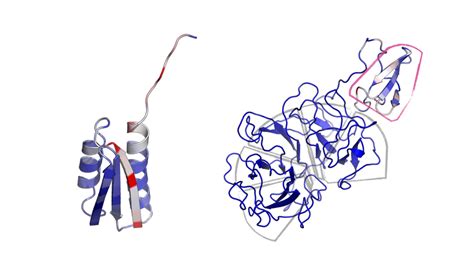 Entropy As An Indicator Of Local Model Quality Two Structural Models