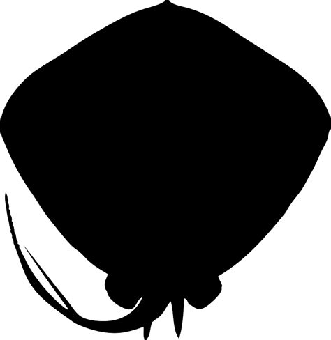 Dasyatis Brevicaudata By A R Mcculloch Vectorized By T Michael Keesey Pdm 1 0 Phylopic