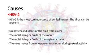 Genital Herpes Pptx Std Medical And Surgical Ii Pptx