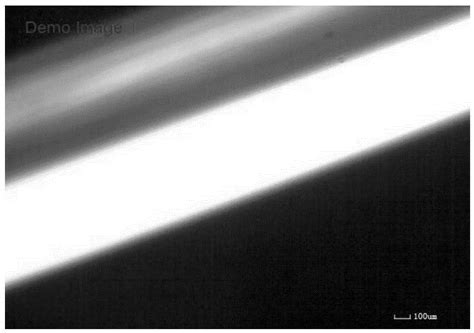 Biological Material Asphalt Photoinduced Repairing Agent And Asphalt