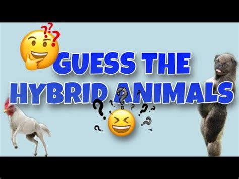 Guess The Hybrid Animals 🤣 Youtube