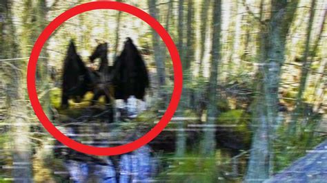 Jersey Devil Legend At Elma Thomas Blog