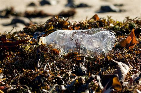 Global Talks On Tackling Plastic Pollution End Without Consensus Sigma Earth
