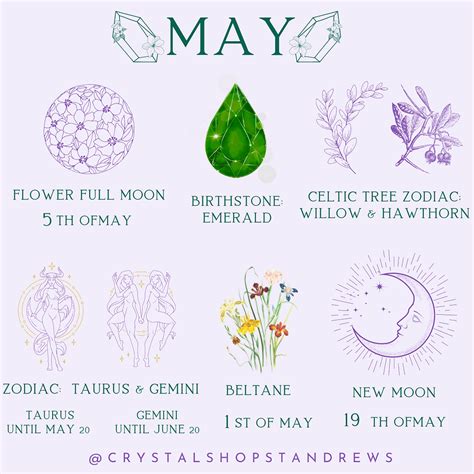 Birthstone Zodiac Signs Flowers 60 Photos