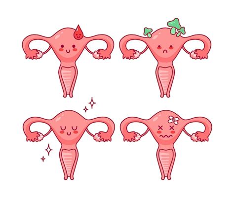 Premium Vector Uterus Cute Cartoon Character In Kawaii Style Drop Of