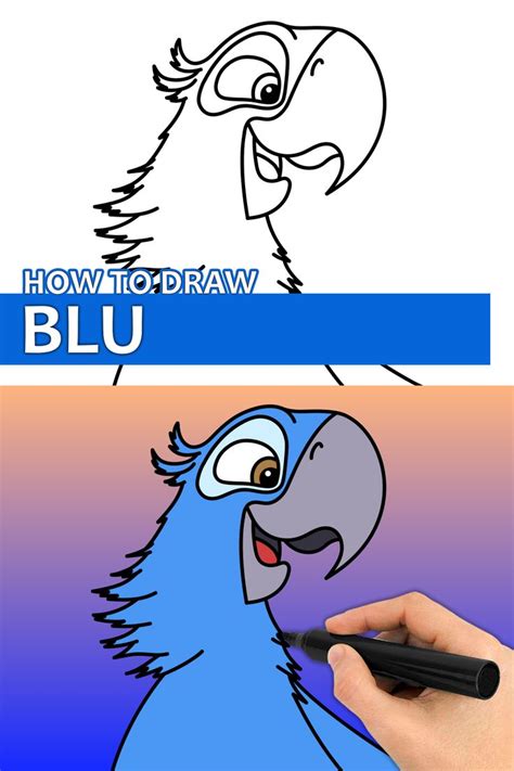 How To Draw Blu From Rio