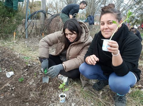Huerteando En La 4ª Edición De Aulas Con Sabor A Tierra Isf
