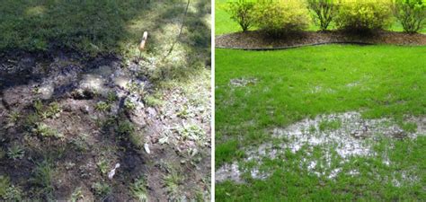 How To Fix Leach Field Problems 12 Easy Guides 2025