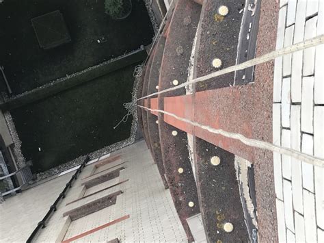 Bird Prevention Vertigo Access Solutions