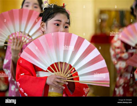 A Young Japanese Girl Is Dressed In Traditional Kimono During The