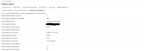encoding problem character like ö ü ä ß are not displayed correctly TeamCity Support