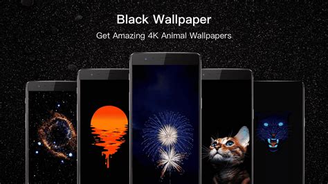 Black Wallpaper Live Wallpaper Apk For Android Download