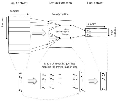 What Are Pca Loadings And How To Effectively Use Biplots