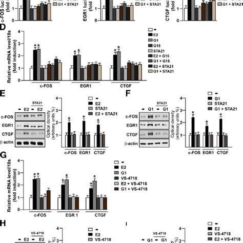 The Ptk2 Gene Encoding Fak Is Over Expressed In Tnbc A Comparison Of