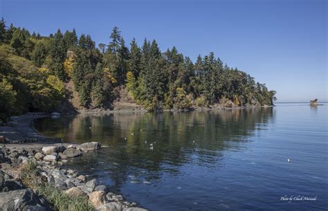 Sequim Weather Is Absolutely Gorgeous Homes And Land In Sunny Sequim