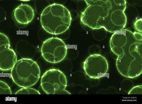 A Luminous Cells Green Fluorescent Cells Under Microscope Green Stock