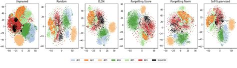 figure 1 from self supervised dataset pruning for efficient training in