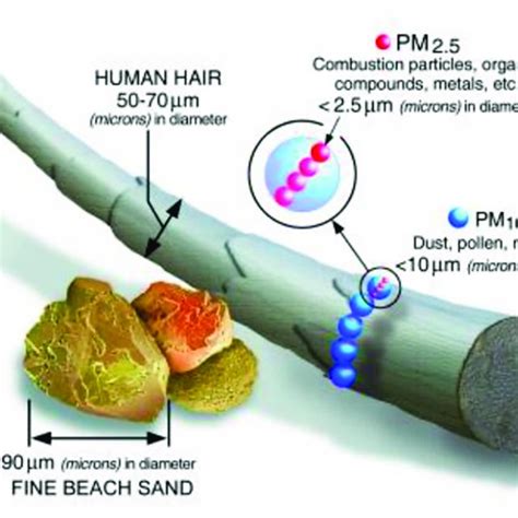 Pm Size Illustration Source Usepa [16] Download Scientific Diagram