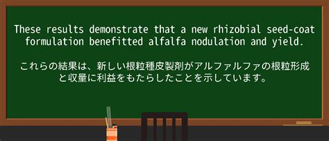 【英単語】nodulationを徹底解説！意味、使い方、例文、読み方 おもしろい英文法