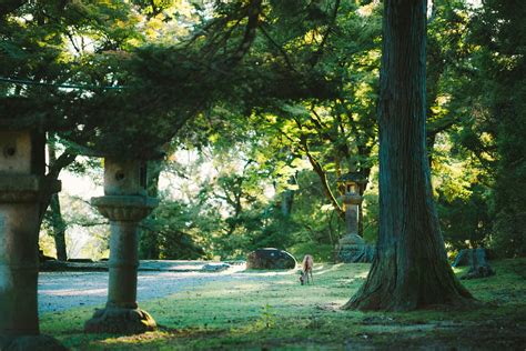 You Are Replaceable There Comes A Time In Life When You By Sasibhusana Mar 2025 Medium