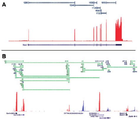 This Shows The Depth Of Coverage Of A Full Length Cdna Clone Which Has Download Scientific