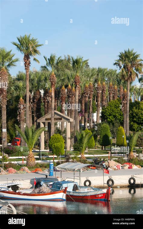 Asia Turkey Province Of Mugla Resadiye Peninsula Datca Peninsula