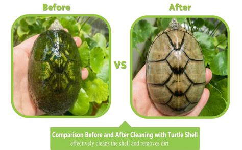 4 Pack Turtle Brush Turtle Shell Cleaning Brush With