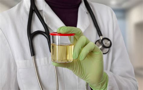 24 Hour Urine Versus Dried Urine Hormone Testing Meridian Valley Lab