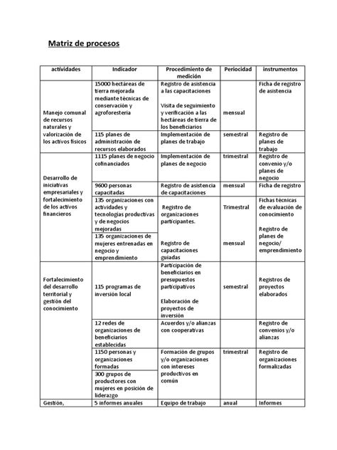 Matriz De Procesos Pdf Economias Business