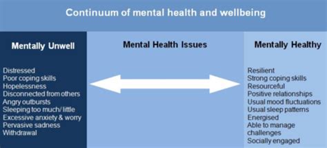 Ch 1 Mental Health And Mental Illness Flashcards Quizlet